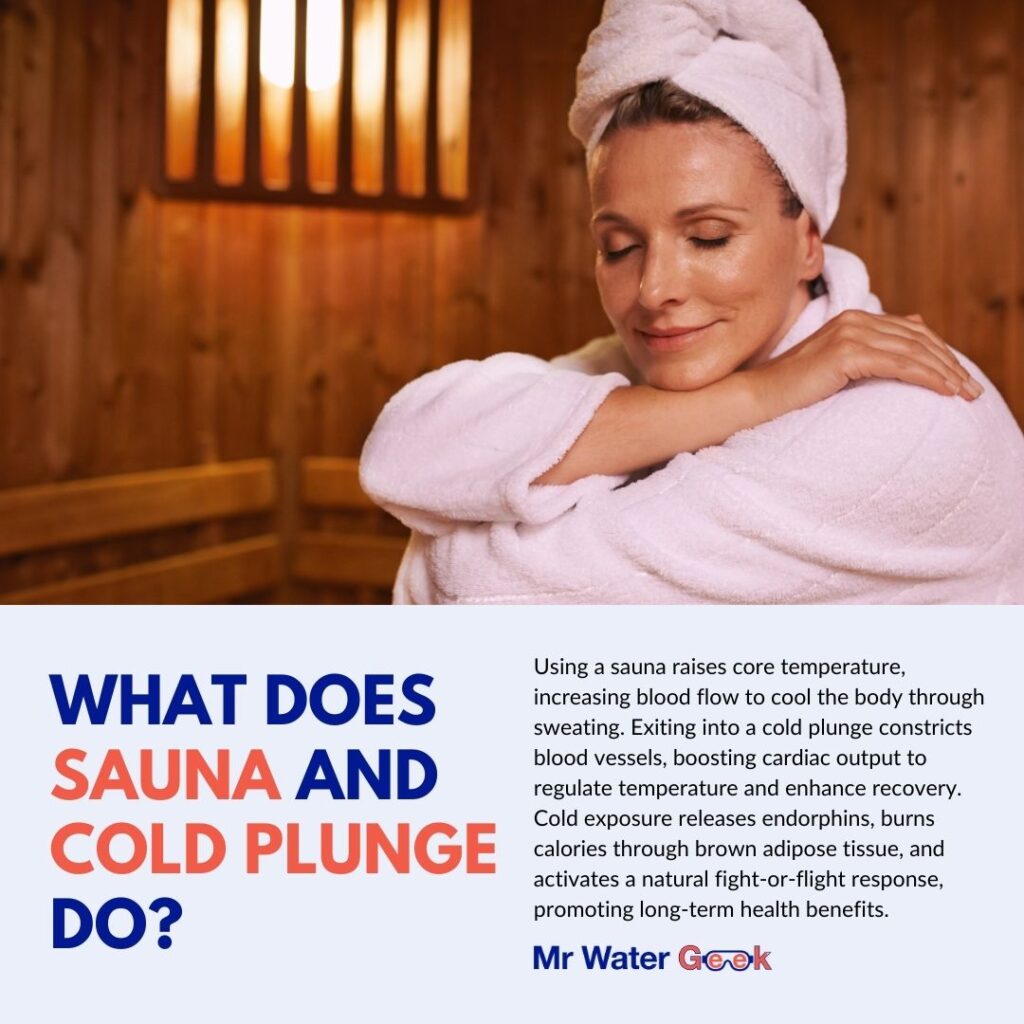 10 Sauna and Cold Plunge Benefits: Unlock Your Body’s Potential