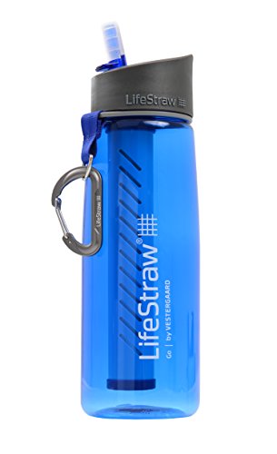 3 Lifestraw Go PROBLEMS That No One Talks About