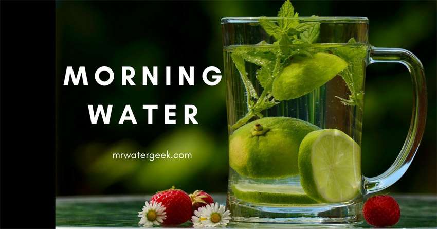 Drinking Water In The Morning Get Rid Of Toxins In The Body